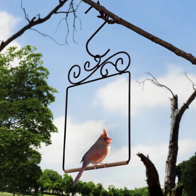 Premium Hummingbird Swing, Rust Resistant Metal Frame, Wooden Dowel ...