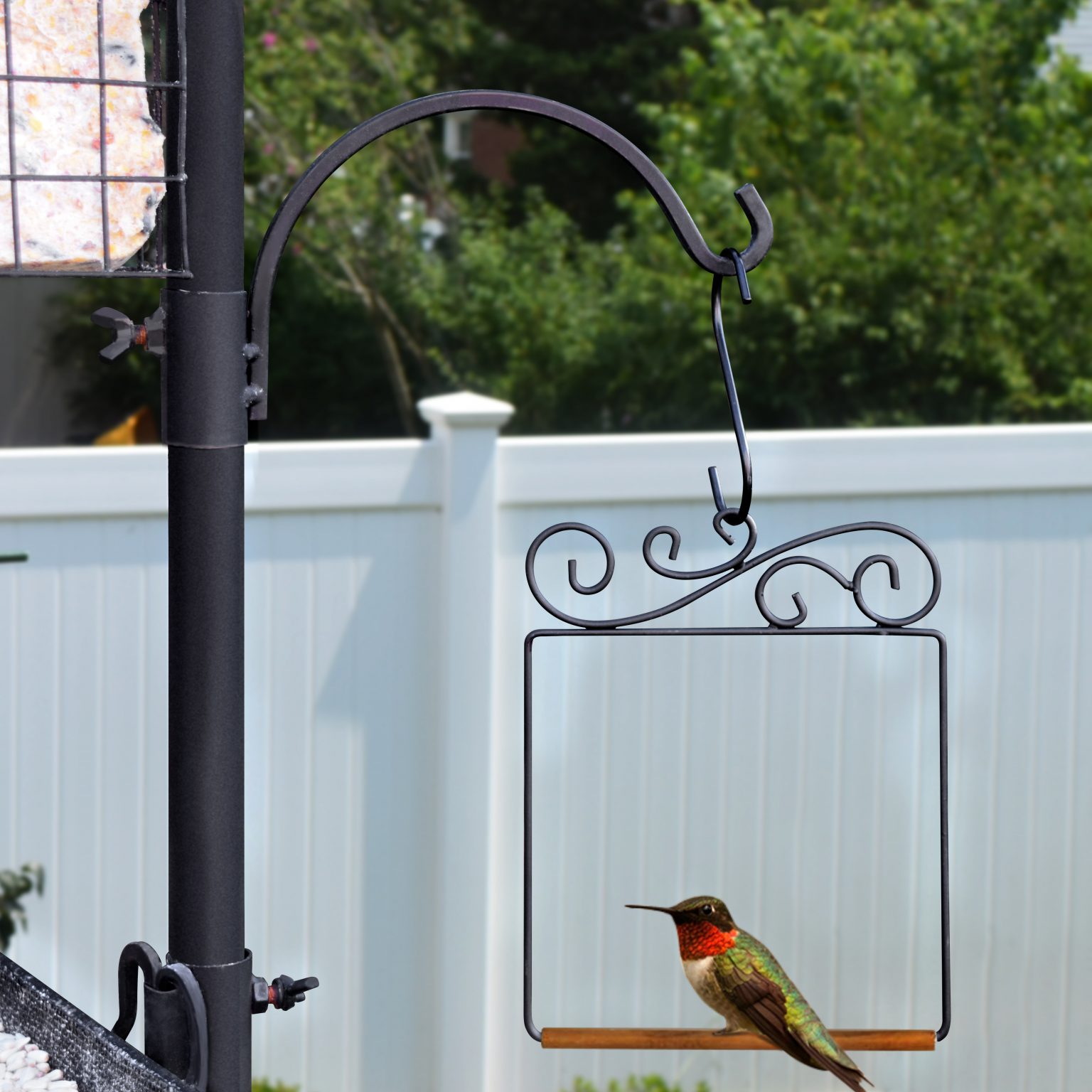 Premium Hummingbird Swing, Rust Resistant Metal Frame, Wooden Dowel ...