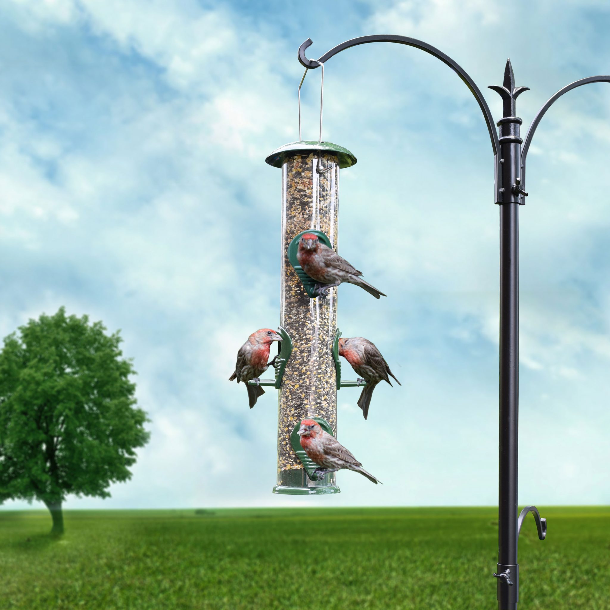 Classic Metal Tube Feeder, Premium Metal Outdoor Birdfeeder With Steel ...