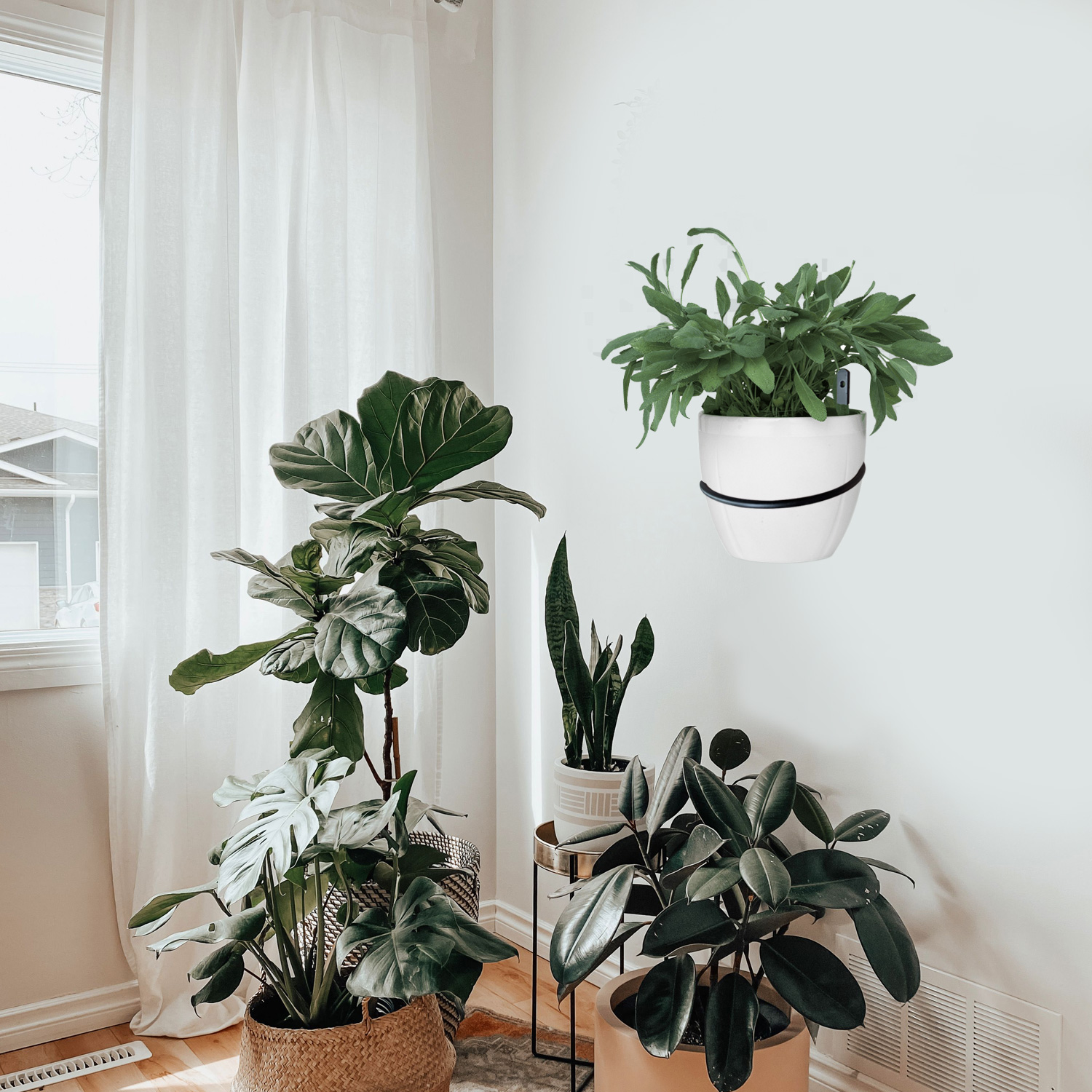 Iron Flower Pot Holder, 8 inch Wall Bracket, Flower Pot Ring 8-inch ...